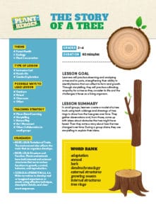 Elementary School Lesson All About Trees | Plant Heroes