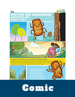 Redbay Ambrosia Beetle Comic (Spanish) | Plant Heroes