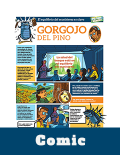 Southern Pine Beetle Comic (Spanish) | Plant Heroes