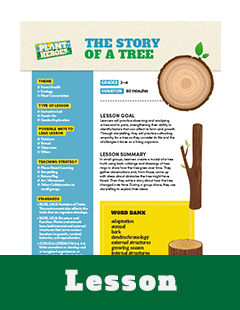 Elementary School Lesson All About Trees | Plant Heroes