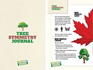 Download Our Tree Symmetry Journal | Plant Heroes