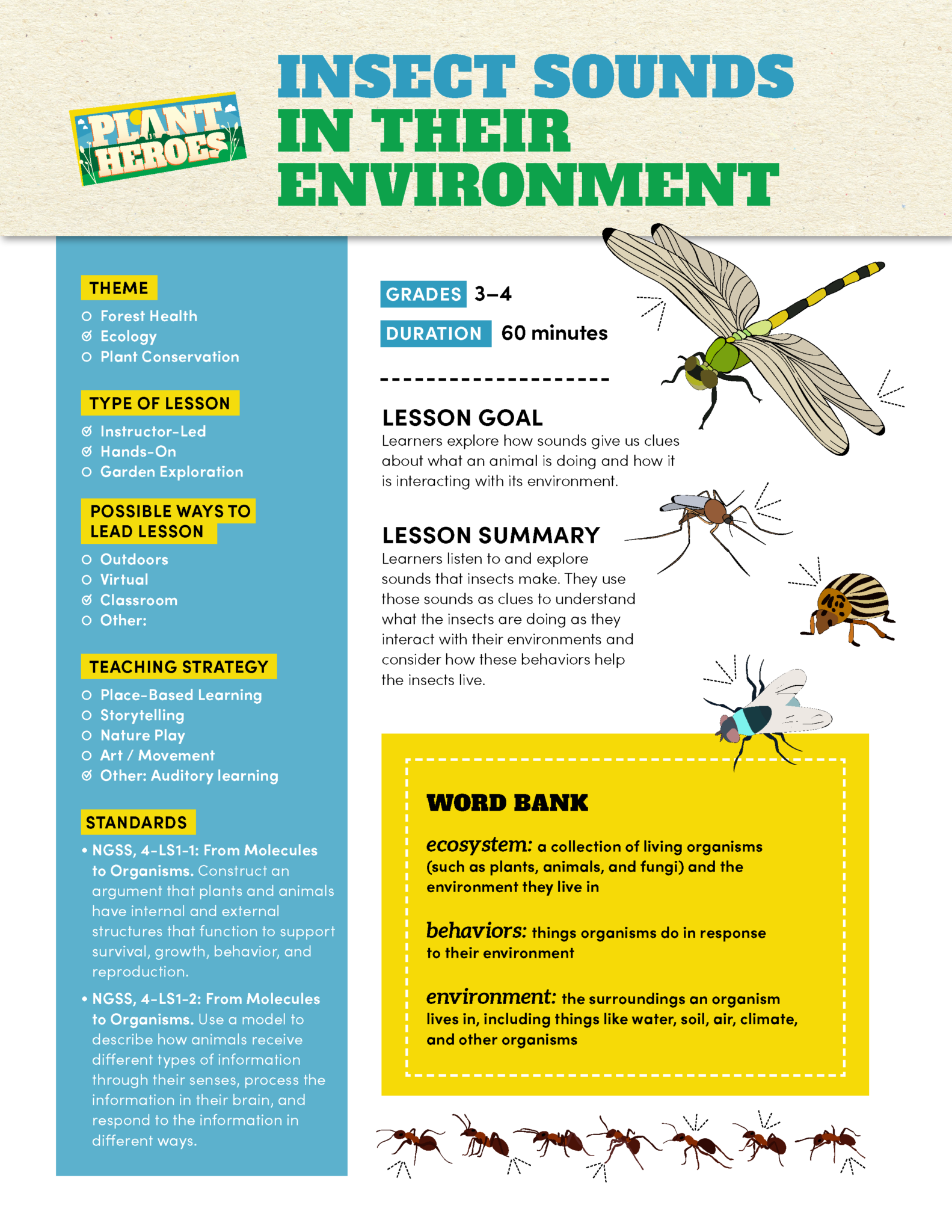 Elementary School Lesson Insect Sounds | Plant Heroes