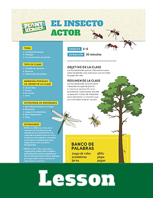 The Acting Insect Lesson Plan | Plant Heroes