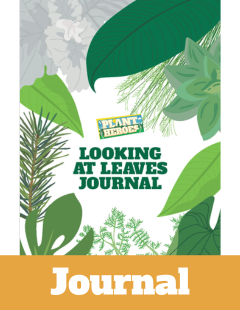 Looking at Leaves Journal (Leaf Adaptations)| Plant Heroes