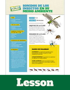 Insect Sounds Lesson Plan (Spanish) | Plant Heroes